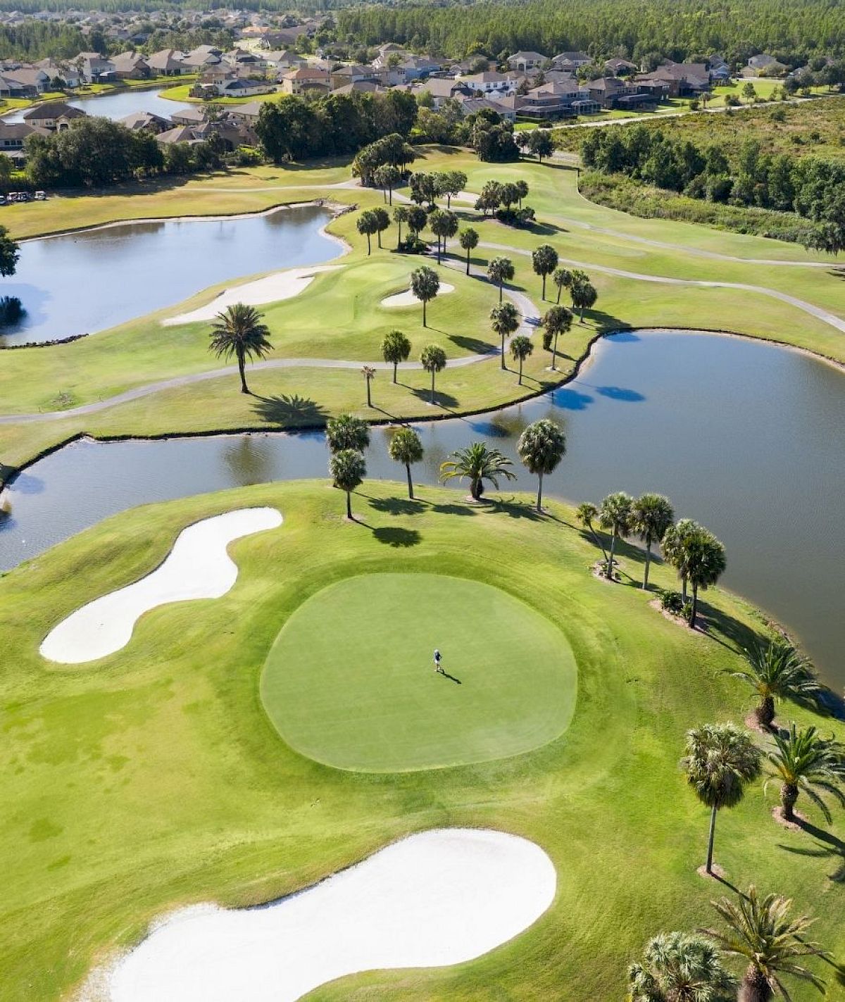 History | Top Luxury Resorts Tampa| Saddlebrook Resort